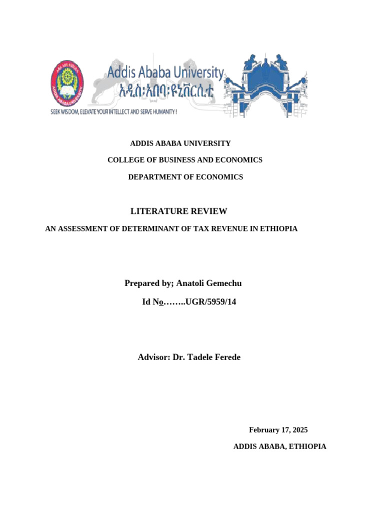 ANATOLI-Lierature Review | PDF | Taxes | Gross Domestic Product