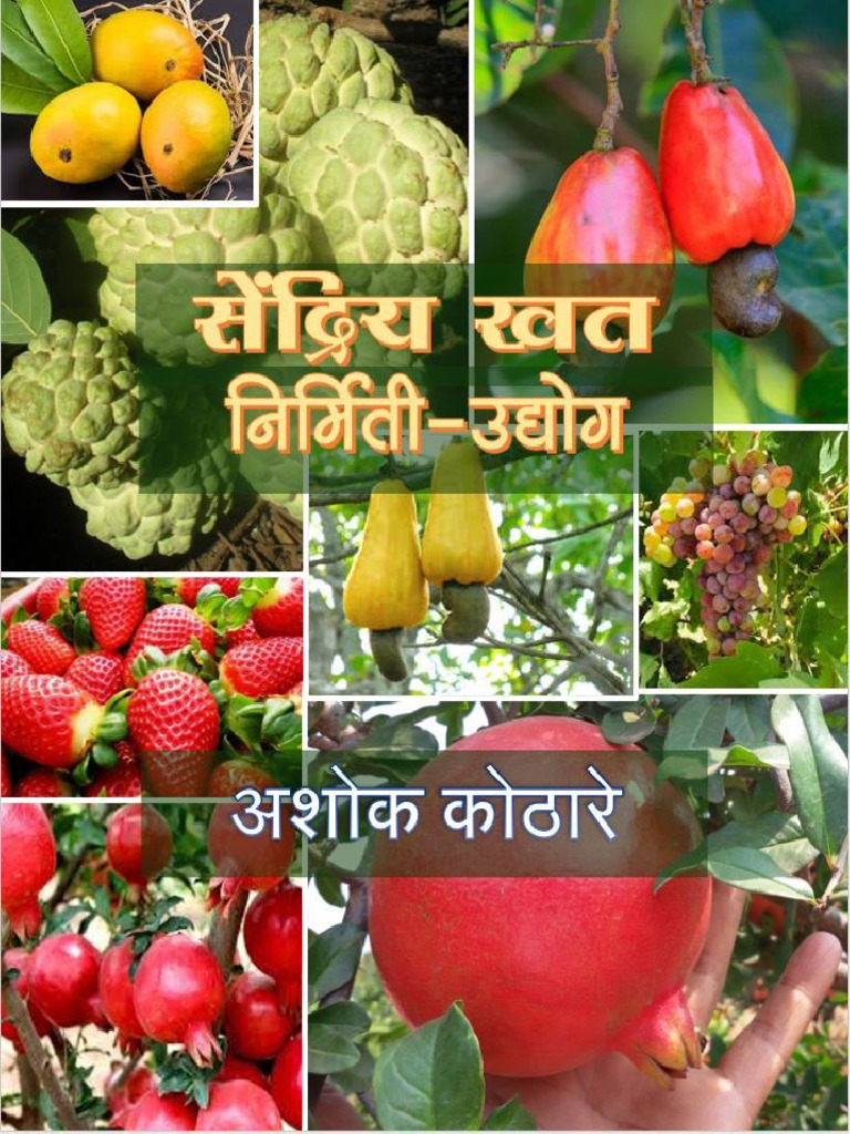 Sendriya Khat Udyog Ashok Kothare | PDF