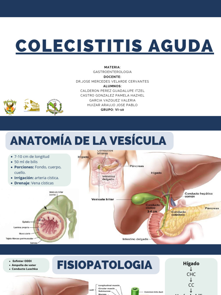 Colecistitis Aguda: Diagnóstico y Tratamiento | PDF | Vesícula biliar ...