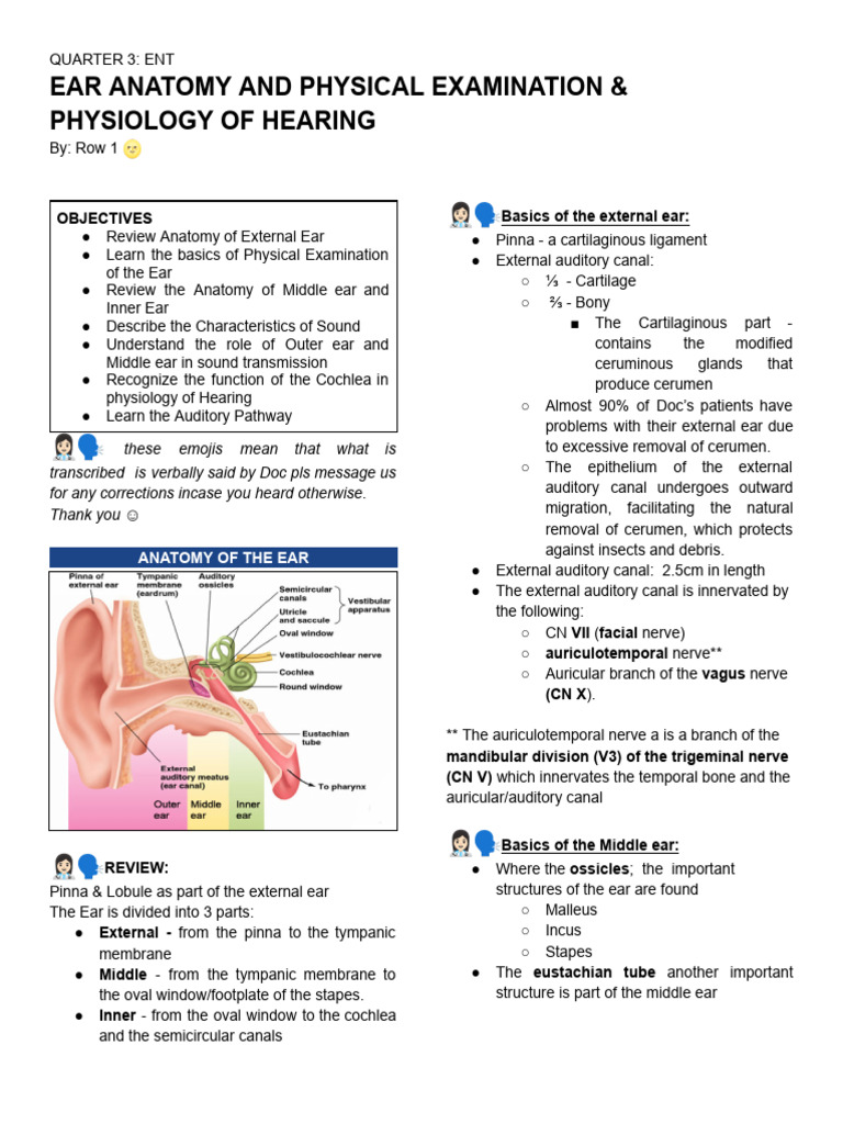 (Ent 1.01) Ear Anatomy and Physical Examination & Physiology of Hearing | PDF | Ear | Auditory ...