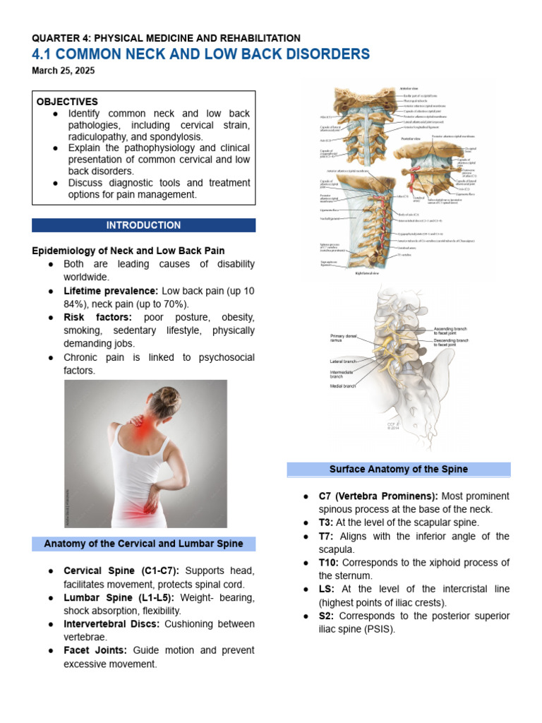 Neck and Low Back Disorders Overview | PDF | Back Pain | Vertebral Column