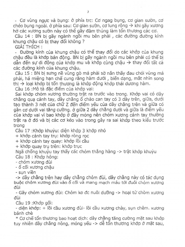 Tet 1.1 - Part2 | PDF