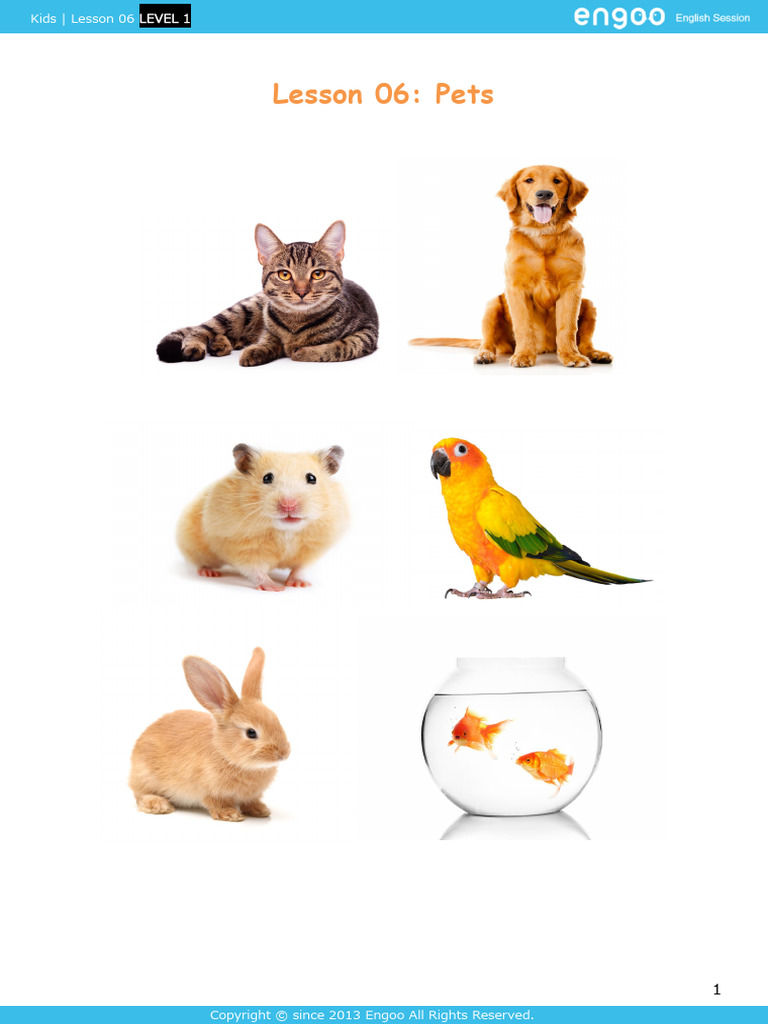 Lesson 06: Pets Lesson 06: Pets | PDF
