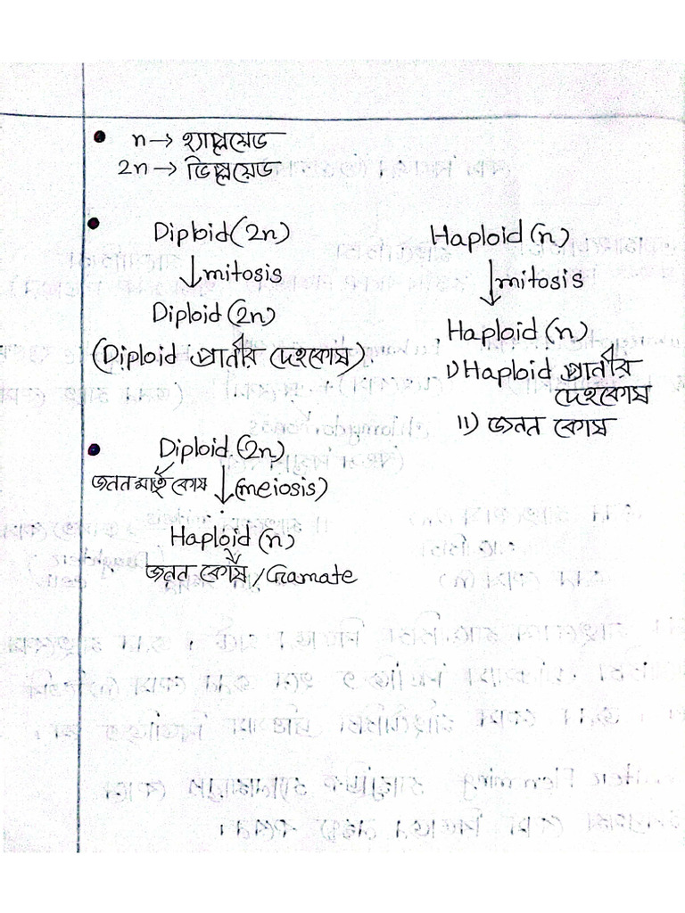 Bio 1st 2nd Chap by Raifa Raifa | PDF