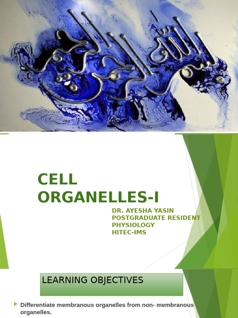 Cell Organelle 1 (Autosaved) | PDF | Endoplasmic Reticulum | Cell Nucleus