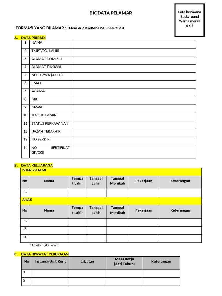 Biodata Pelamar Tenaga Administrasi | PDF