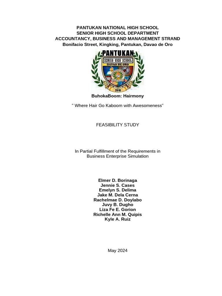 Feasibility Study for BuhokaBoom Business | PDF