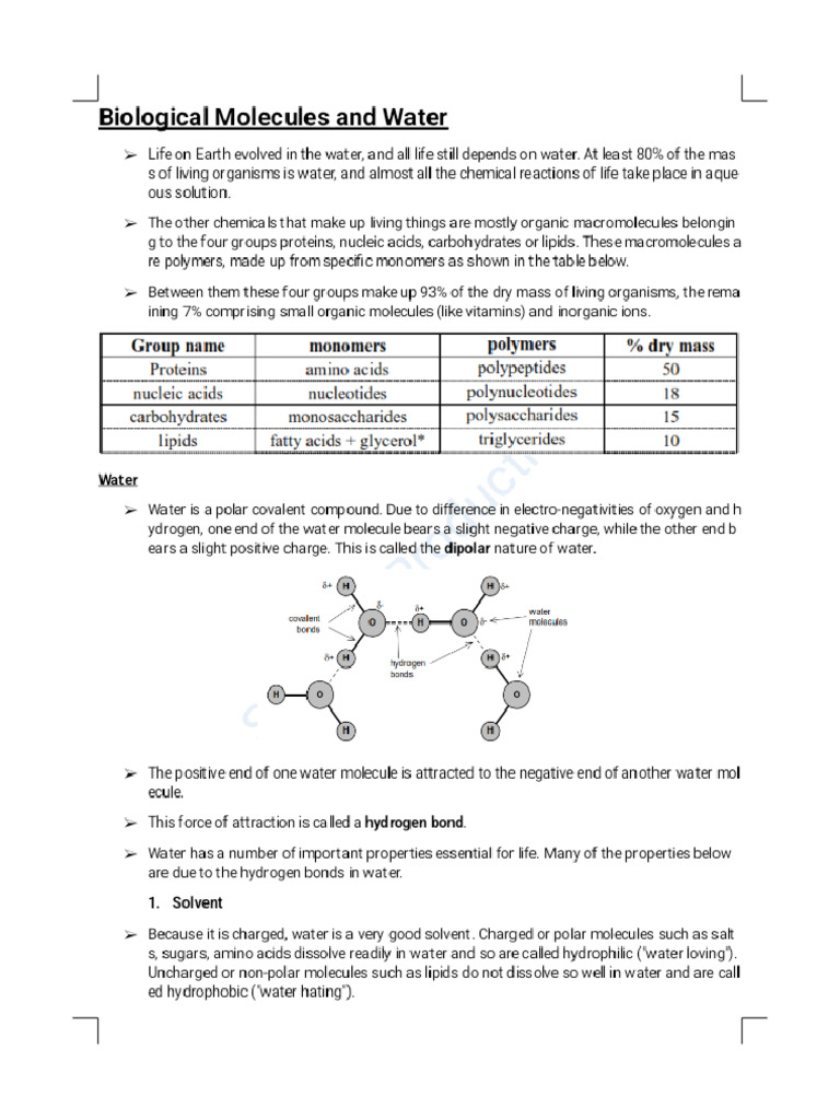 Notes Biological Molecules Phoenix | PDF