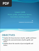 Understanding SIJ: Form and Force Closure | PDF | Pelvis | Vertebral Column