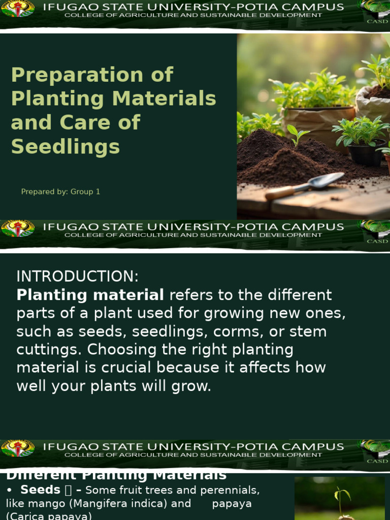 Planting Materials and Seedling Care Guide | PDF | Seed | Seedling