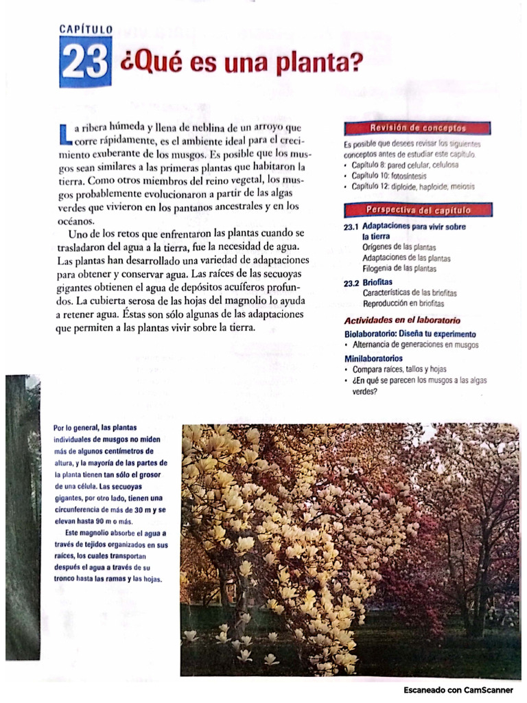 Plantas Biggs Orca | PDF