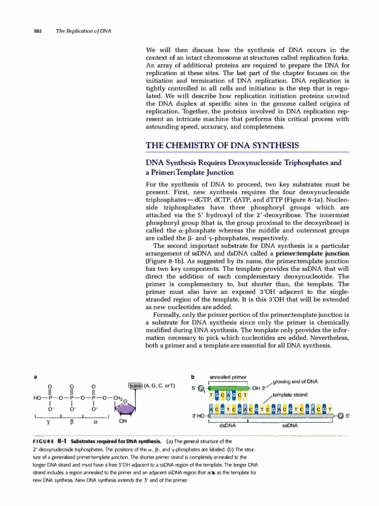Pages From Molecular Biology of The Gene (International Ed.) (James D. Watson, Tania A. Baker ...