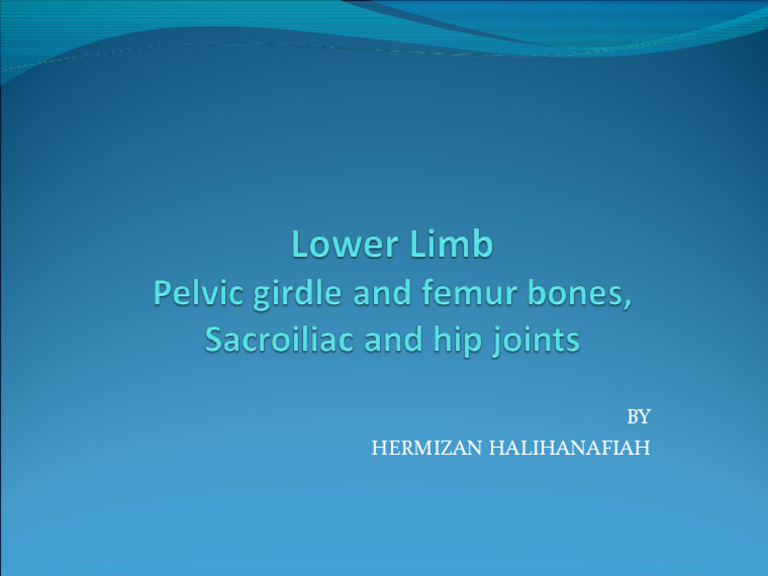 BY Hermizan Halihanafiah | PDF