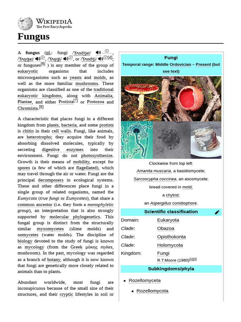 Fungus | PDF | Fungus | Spore