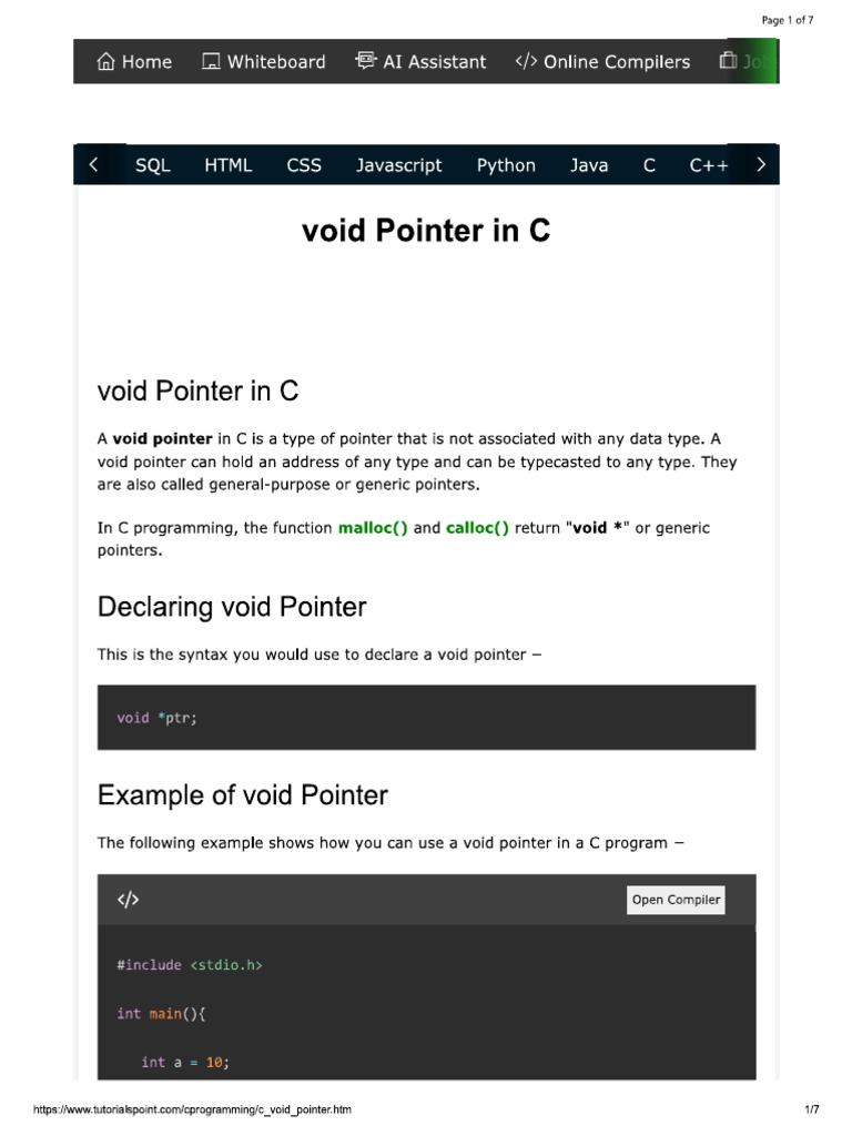 Void Pointer | PDF