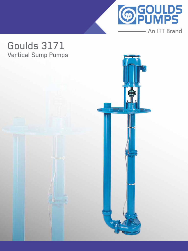 Goulds Pumps 3171 Brochure | PDF | Pump | Bearing (Mechanical)