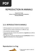 Anatomy of Cow Reproductive System | PDF | Luteinizing Hormone ...