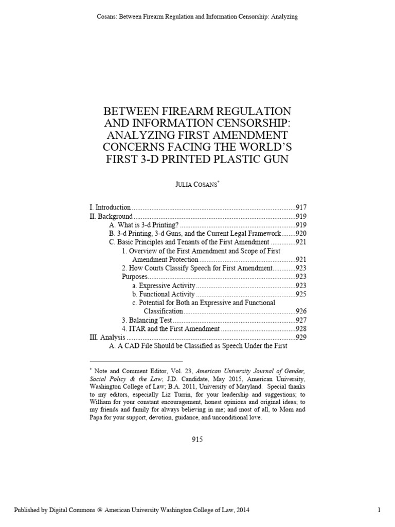 Between Firearm Regulation and Information Censorship - Analyzing-21 ...