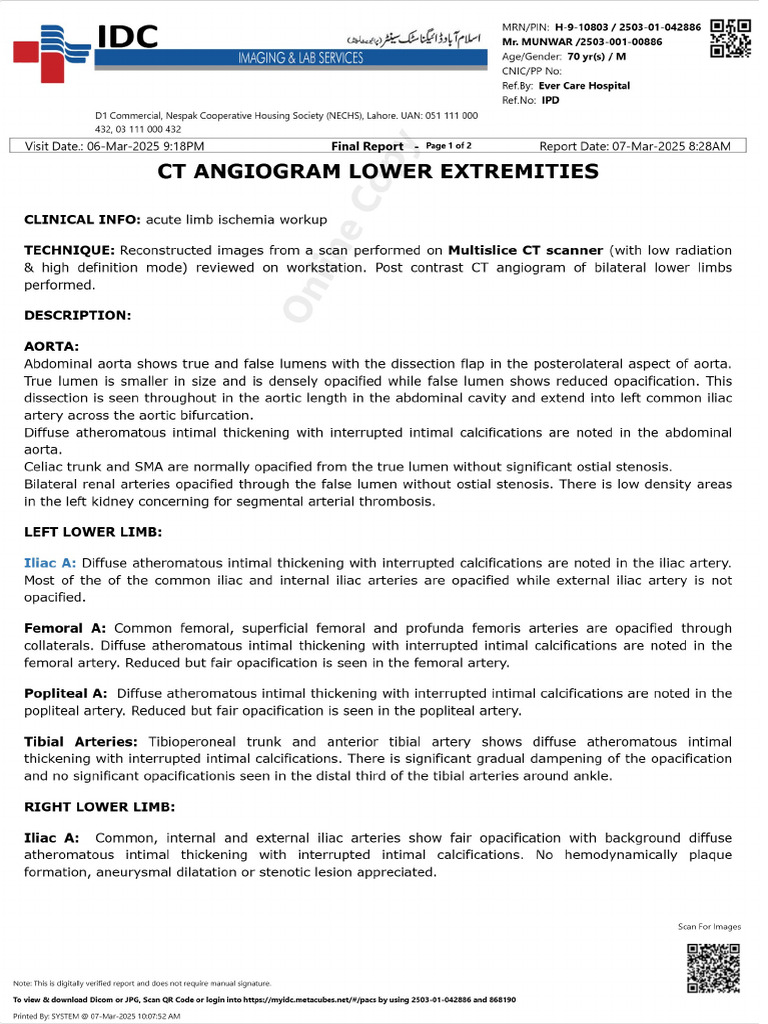 CT Angiogram Report For Patient of Idc Lahore | PDF