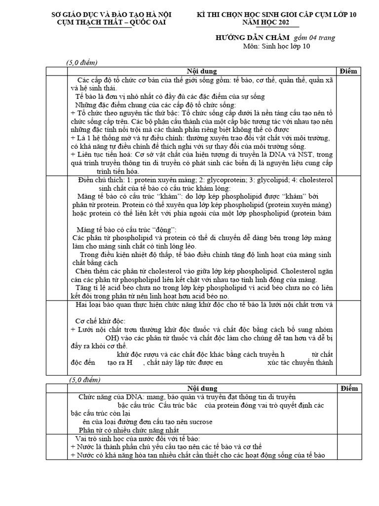 Sinh Học - 10 - HDC Chính Thức HSG Cụm 23-24 | PDF