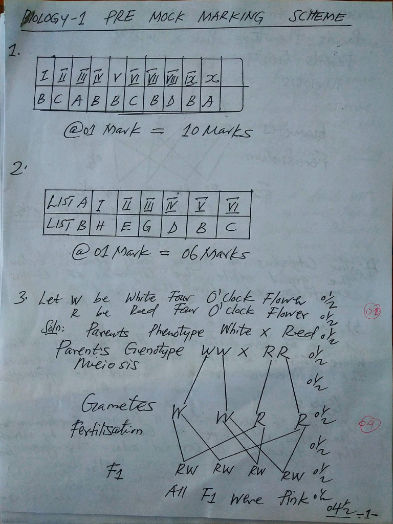 Tahossa Bios Mark Scheme | PDF