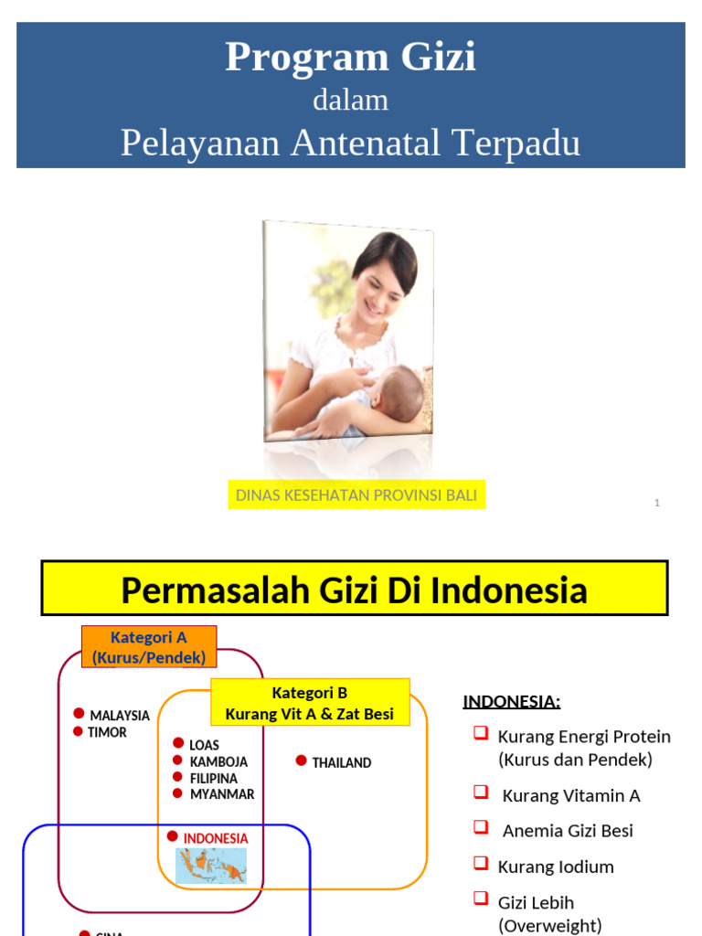 Pelayanan Gizi Pada Ibu Hamil | PDF