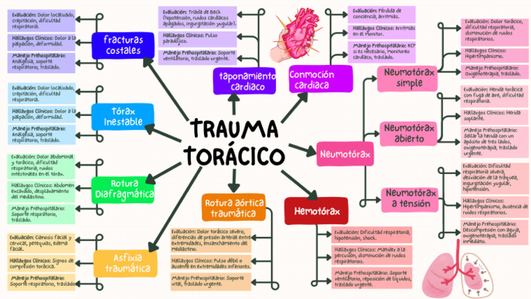 Mind Map Trauma | PDF
