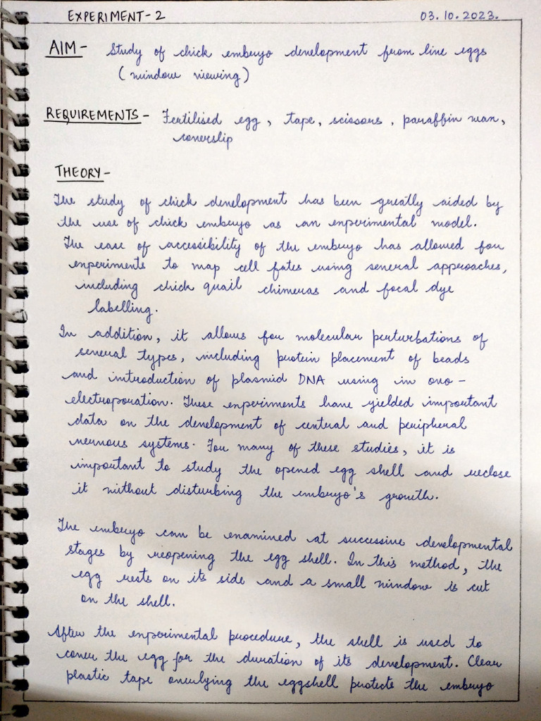 Chick Development | PDF