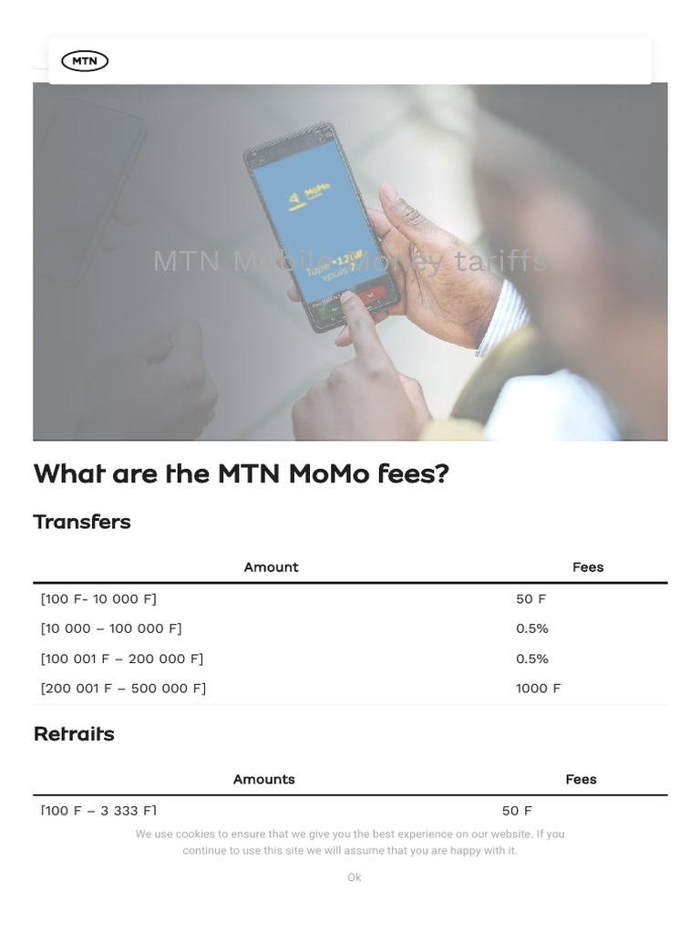 MTN MoMo Charges in Cameroon | PDF