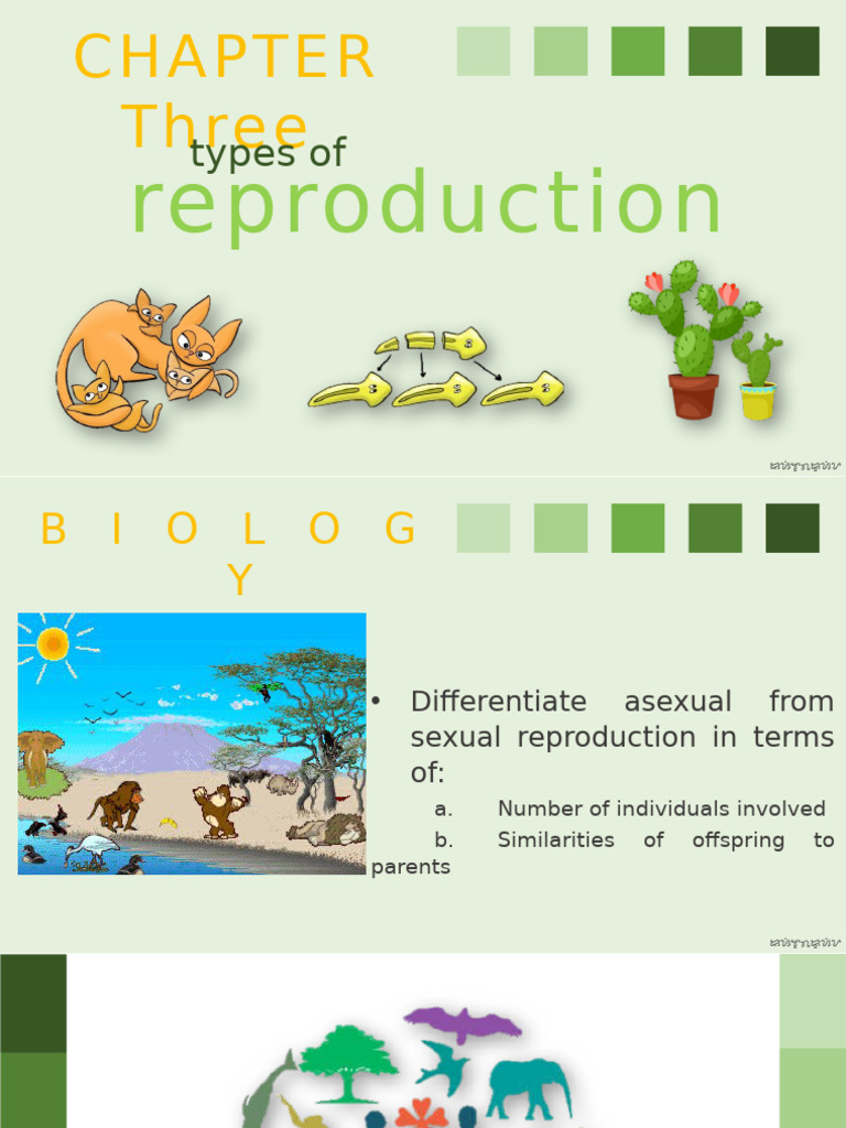 Types of Reproduction | PDF | Sexual Reproduction | Biology