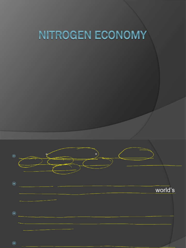 2 Nitrogen Economy-Converted-Compressed - 250501 - 131402 | PDF ...