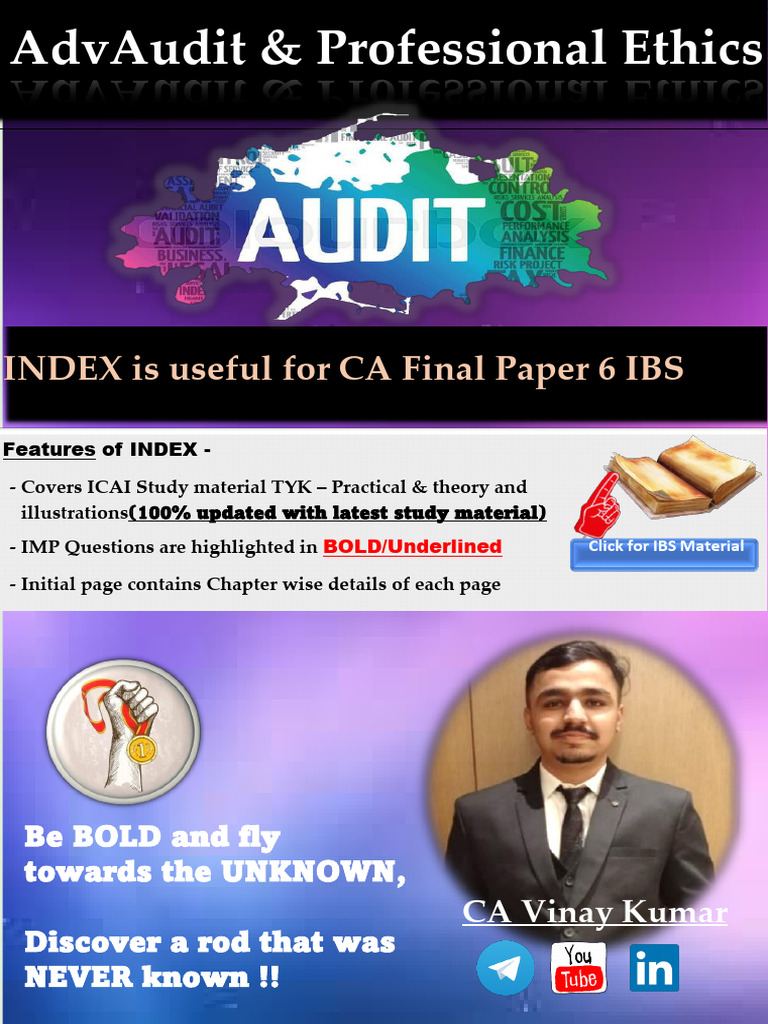 Audit SM Indexx | PDF | Audit | Going Concern