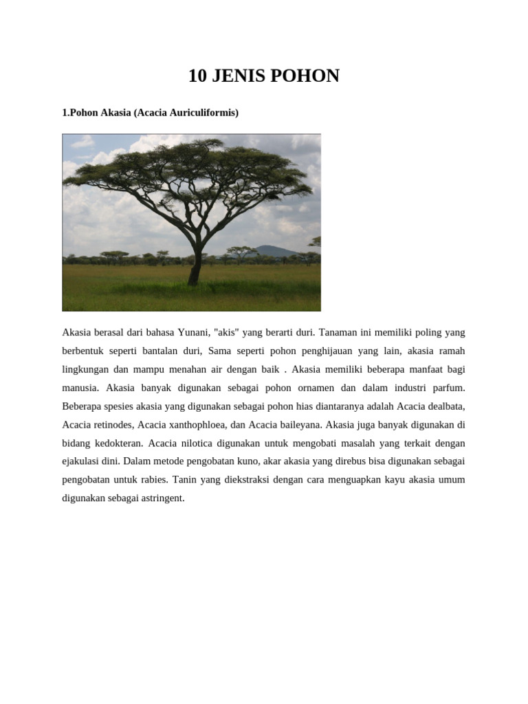 10 Jenis Pohon dan Manfaatnya | PDF