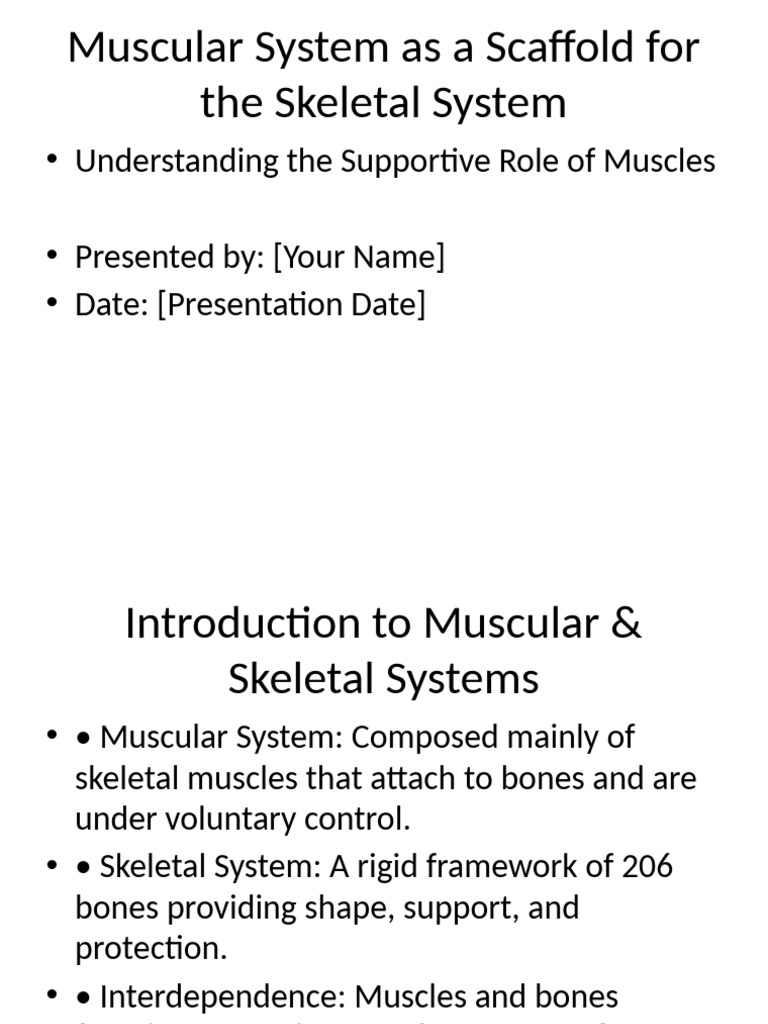 Muscular System Scaffold Presentation | PDF