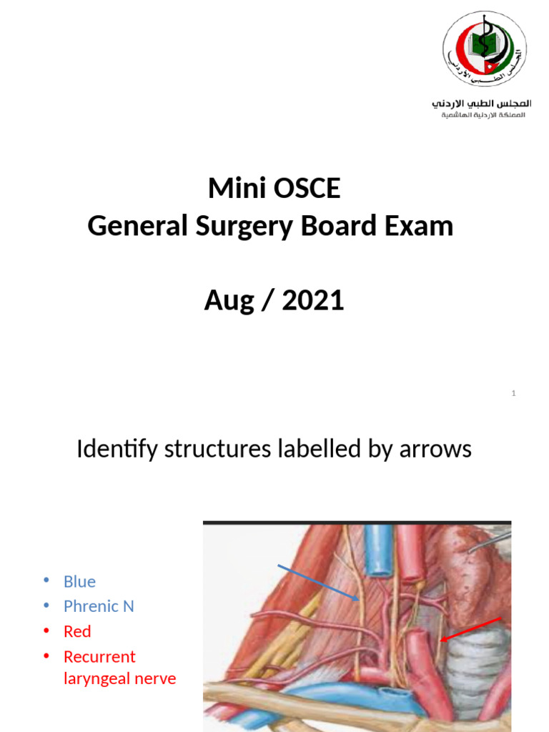 Mini OSCE for General Surgery Exam | PDF | Gastroenterology | Clinical ...