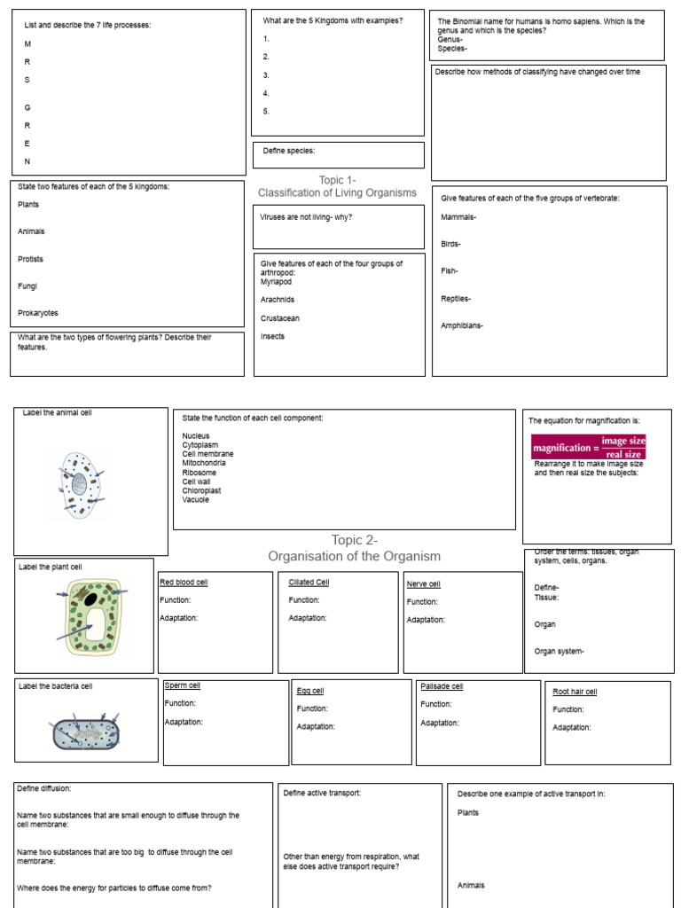 X. November Exam Revision Sheets IGCSE | PDF | Cell (Biology) | Enzyme
