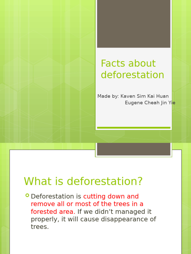 Facts About Deforestation | PDF | Deforestation | Agriculture