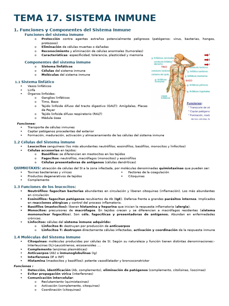 Tema 17. Fisiología URCJ CyTA | PDF | Sistema inmune | Inflamación