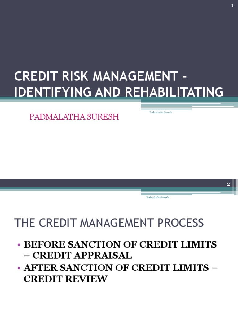 Credit Risk Management - Identifying and Rehabilitating: Padmalatha ...