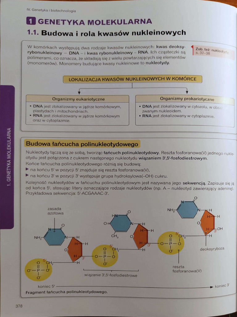 Genetyka-Molekularna 240124 192059 | PDF