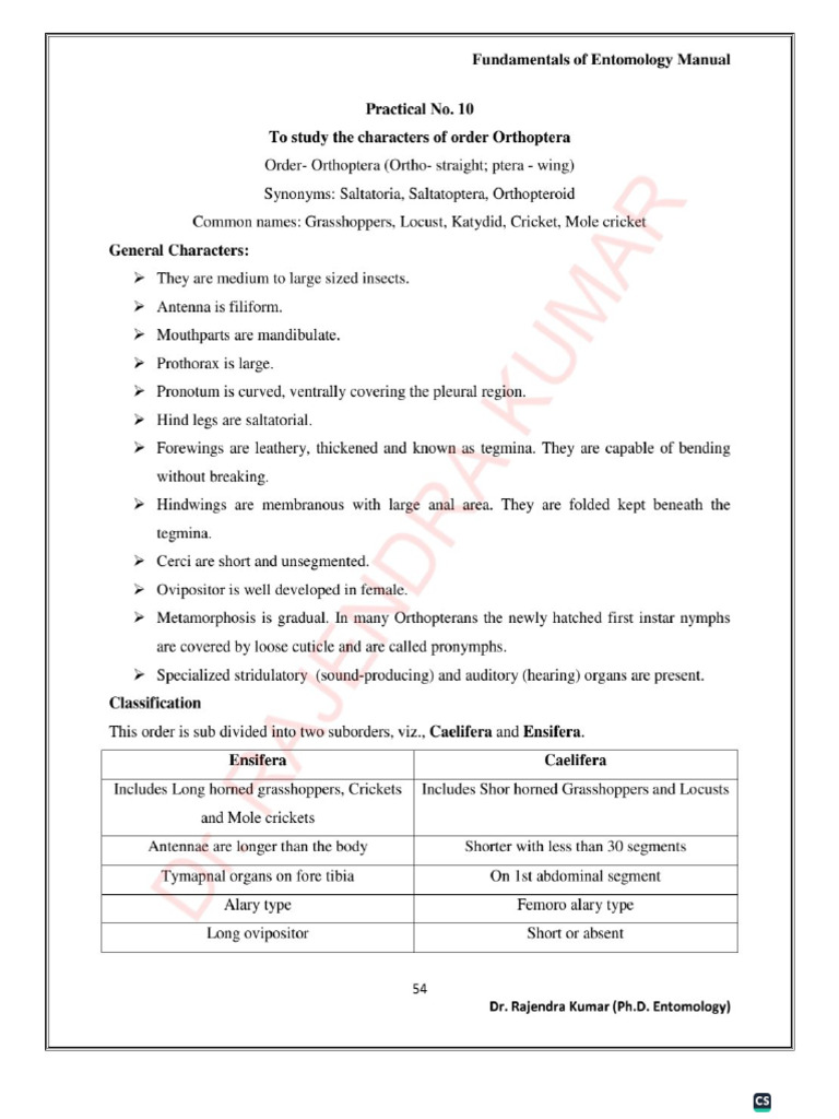 Entomology Manual 5 | PDF