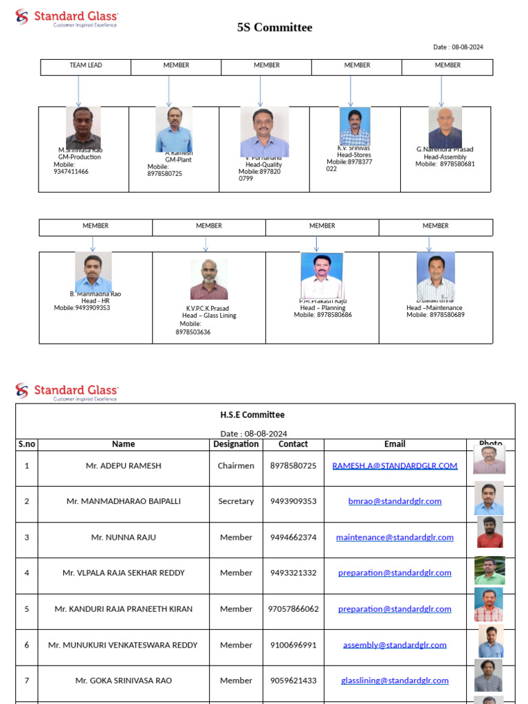 5S Committee and Zonal Team Structure | PDF
