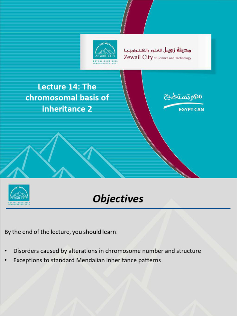 Lec 14 The Chromosomal Basis of Inheritance 2 | PDF | Ploidy | Gene