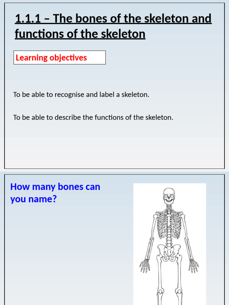 1.1-The Bones and Function of The Skeleton | PDF | Anatomical Terms Of Motion | Skeleton
