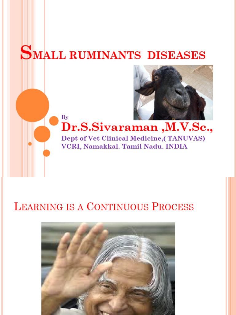 Small Ruminants Diseases | PDF | Sheep