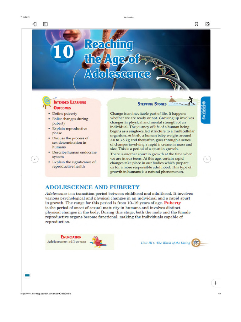 Universak Science Grade -8 | PDF