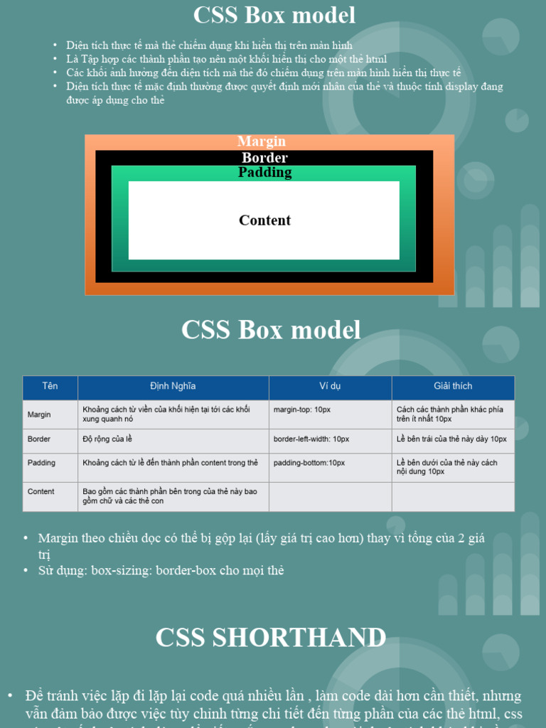 Day4 Common CSS | PDF