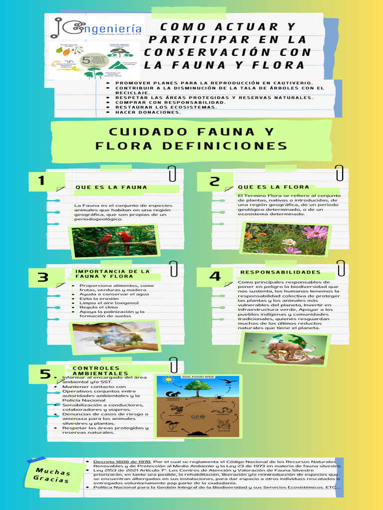 Cuidado de la Flora y Fauna en Bolivia | PDF | Fauna | Entorno natural
