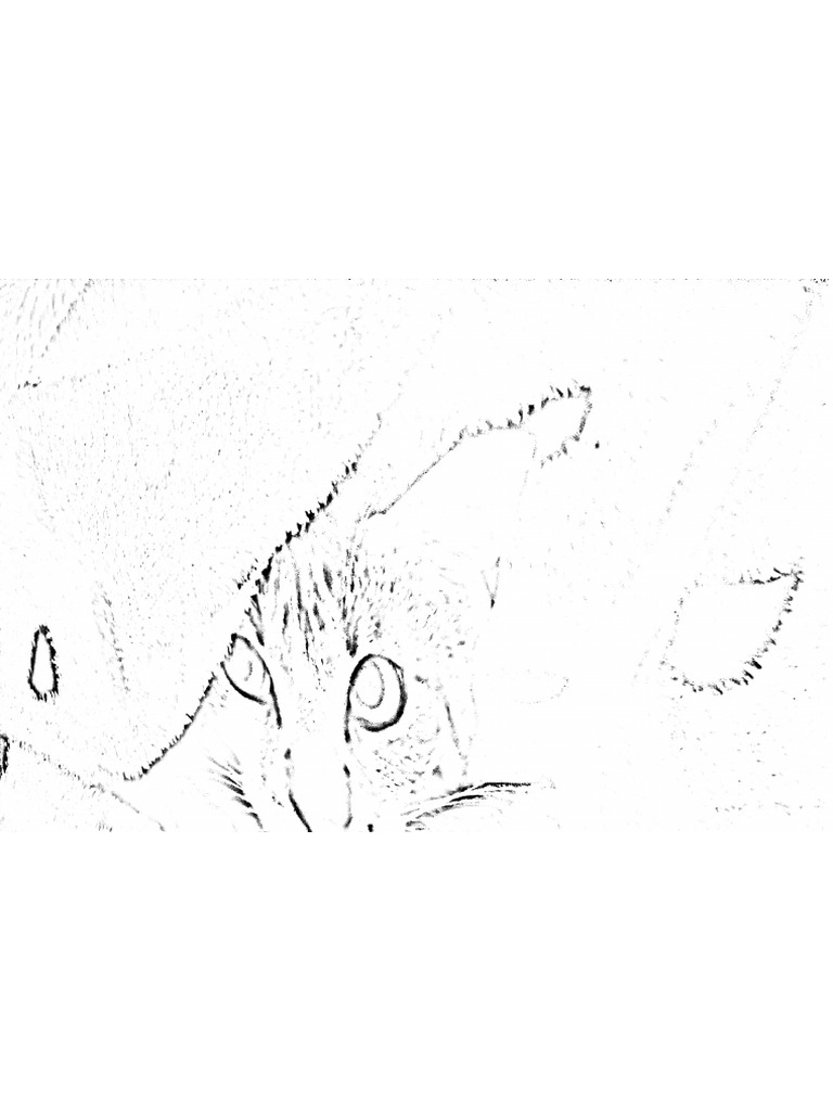 Leo El Gato. | PDF
