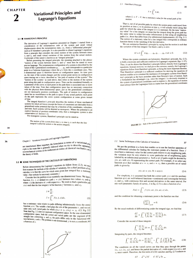Hamilton | PDF | Calculus Of Variations | Lagrangian Mechanics